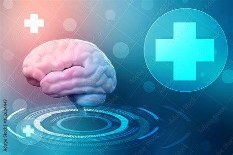 3d Illustration Human Health Brain Stock Illustration Adobe Stock