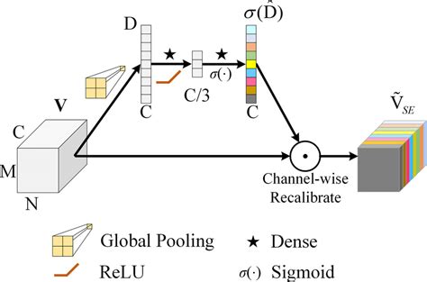 Structure Of Se Block Download Scientific Diagram