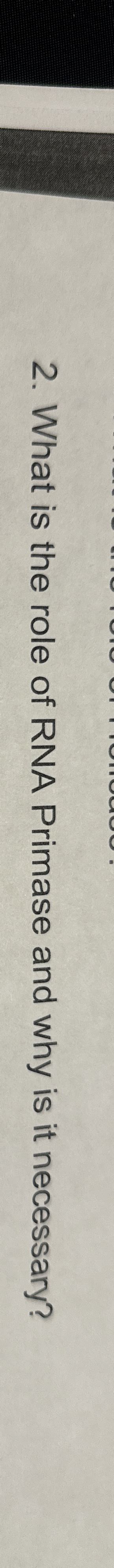 High Quality SOLUTION What Is The Role Of RNA Primase And Why Is It