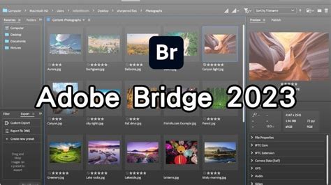 Adobe Bridge 2023 永久啟用免費下載安裝完整教學 快克資源網