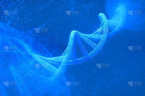 Dna D