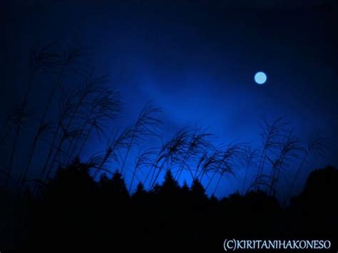 あの人気のススキが原へ。夜のお月見プラン始動！【箱根強羅温泉 桐谷箱根荘より】 箱根強羅温泉 桐谷箱根荘 プレスリリース配信代行