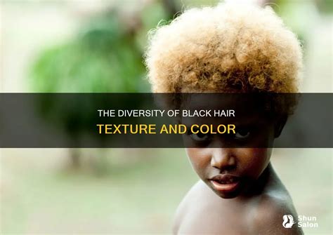 The Diversity Of Black Hair Texture And Color Shunsalon