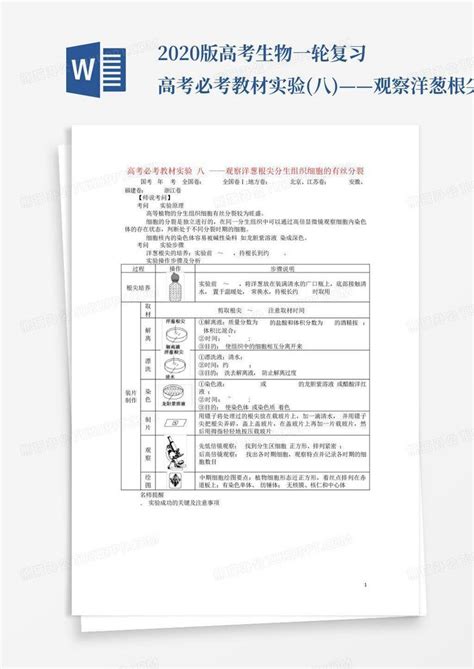 2020版高考生物一轮复习高考必考教材实验八——观察洋葱根尖分生组word模板下载编号loxapbpx熊猫办公
