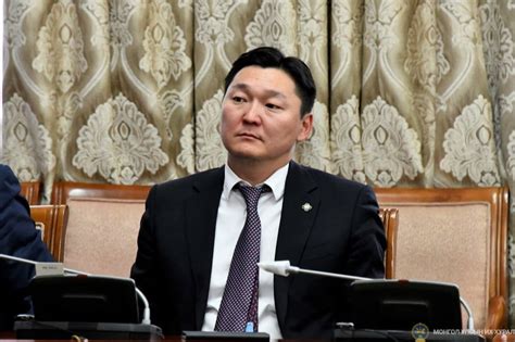 Г Тэмүүлэн НӨАТ ыг таван хувь болгох асуудлыг судалж байж шийднэ