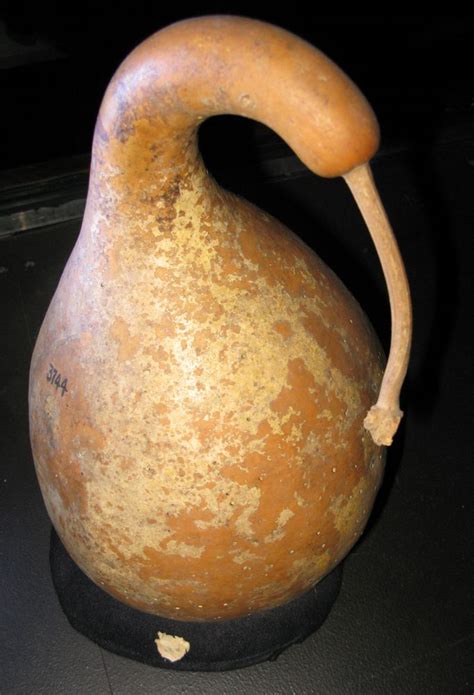 Tahā Gourd Container Calabash Collections Online Museum Of New Zealand Te Papa Tongarewa
