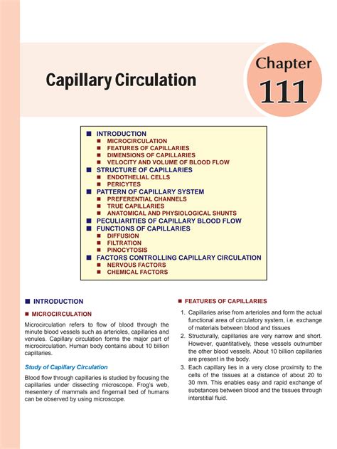 Solution Capillary Circulation Studypool