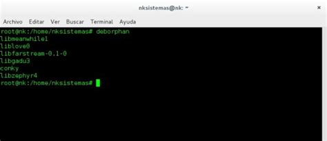 Limpiar Nuestro Linux Con Unos Comandos Nksistemas