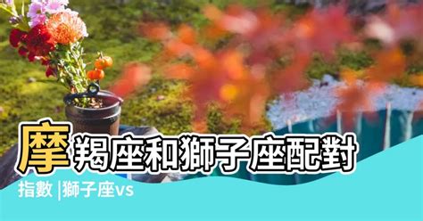 摩羯座和獅子座配對指數 獅子座vs魔羯座星座配對指數 摩羯座和獅子座配不配 【獅子座魔羯座】 Npf 風水知識網