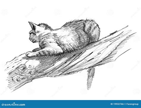 Sand Cat Drawing Sketch On A Tree Stock Illustration Image 19932766