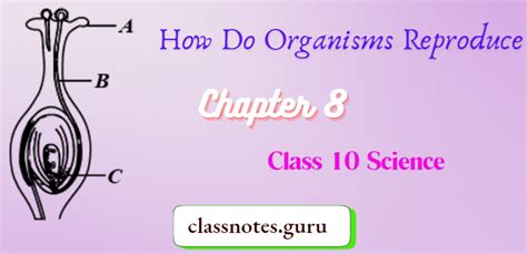 Ncert Solutions For Class 10 Science Chapter 8 How Do Organisms