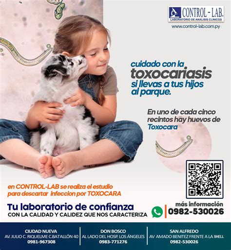 Control Lab La Toxocariasis Es Una Infección Humana Facebook