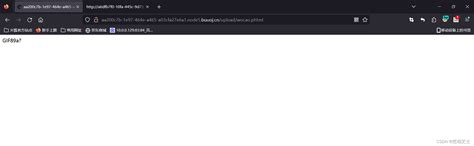 ctf做题笔记 [极客大挑战 2019]upload1 csdn博客