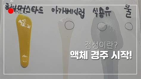 액체 경주 시작 점성실험 액체실험 Youtube