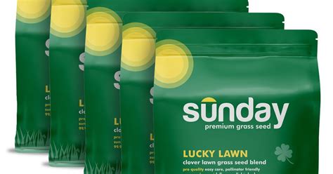 Sunday Lawn Care