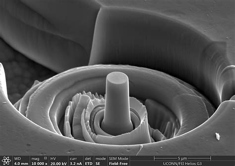 Materials Science And Engineering Ph D Students Research Into Novel