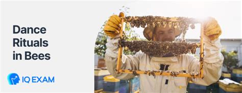 Behavioral Isolation Understanding The Concept And Examples Iq Exam Blog