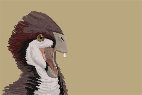 Incisivosaurus