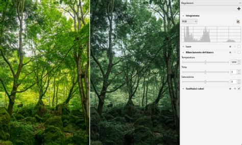 Coreldraw Guida Coreldraw Graphics Suite 2021