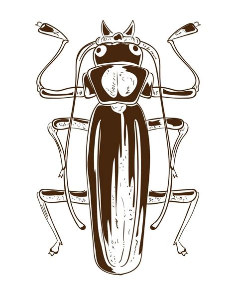 Bug Isolated Icon 13829757 Vector Art At Vecteezy
