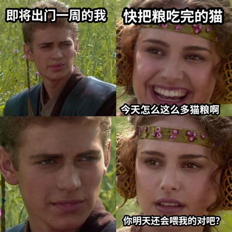 Meme