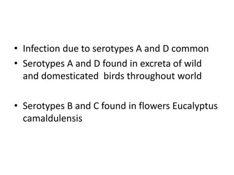 Cryptococcus Ppt