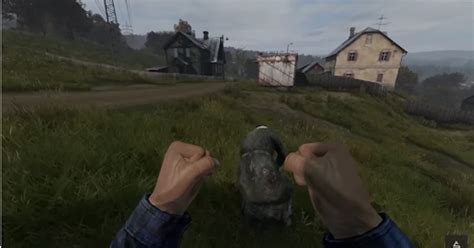 Dayz Beginner Guide For Multiplayer