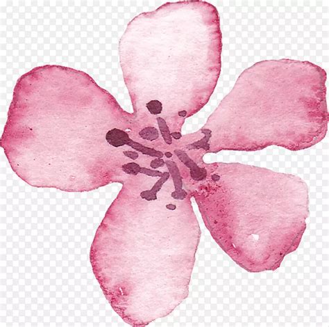 水彩粉色一朵花PNG图片素材下载 图片编号7281793 PNG素材网