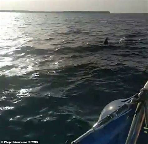 Sailor Reveals Terrifying Moment His Yacht Was Stalked By Five Killer