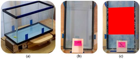 Microplastics Special Issue Monitoring Detection And Mitigation Of