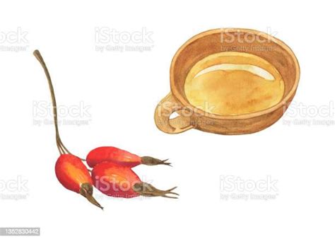 화이트 백그라운드에서 고립된 로즈 힙 베리와 클레이 컵 수채화 손 그리기 그림 식품 디자인 인쇄 메뉴 장식에 적합합니다 0명에 대한 스톡 벡터 아트 및 기타 이미지 Istock