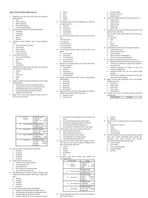 Soal Latihan Sistem Saraf Kelas 11 | PDF