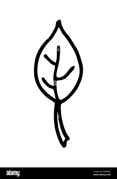 Freehand Illustration Of A Single Leaf Black Outlines On White