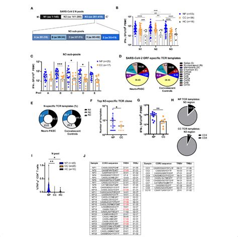 Neuro Pasc Patients Have Elevated Reactivity To The C Terminal Region