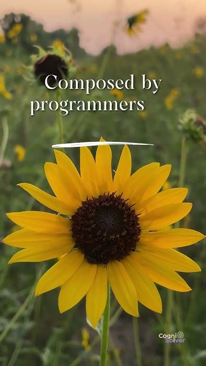 Coding Motivation Daily Quotes 💭💬shorts Coding Motivation