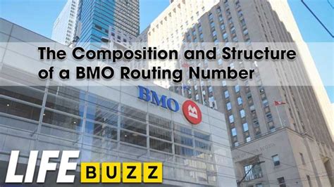 How To Find Bmo Routing Number Institution And Transit Codes