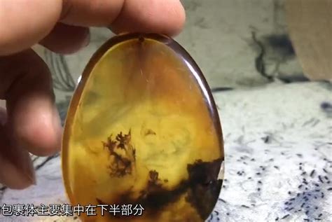 高清实拍各种珍稀琥珀包裹了有史以来最大的蝎子的琥珀