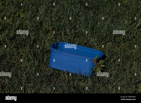 Reusable Food Container With You Saves The Environment Environmental Protection Reuse Plastic