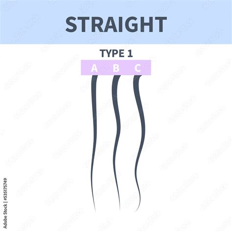 Straight Hair Type Classification System Set Detailed Human Hair