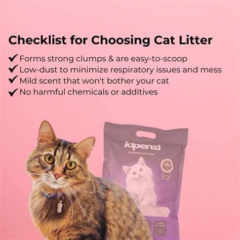 The Purr Fect Solution Automatic Cat Litter Boxes And Bentonite Cat Litter By Kipenzi Jul