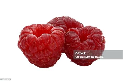 라즈베리는 흰색 배경에 분리되어 있다 신선하고 육즙이 많은 라즈베리 0명에 대한 스톡 사진 및 기타 이미지 0명 건강한