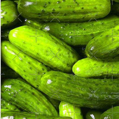 Pickles Love Green Pickles By Mwagie Redbubble