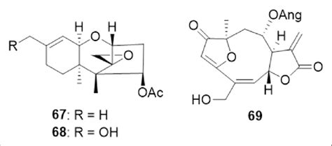 Formulas Of Compounds 67 69 Download Scientific Diagram