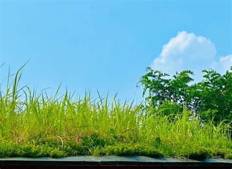 本周先晴后雨，前期高温不退场澎湃号·媒体澎湃新闻 The Paper