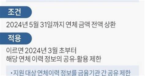 최대 298만명 연체기록 공유 금지 신용사면 3월 초 시행