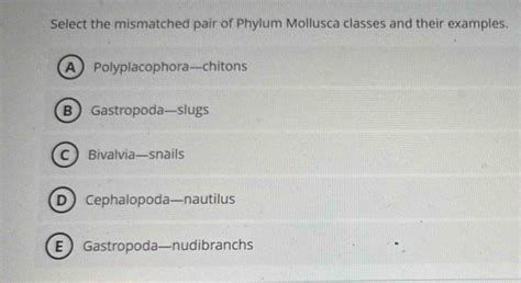 Solved Select The Mismatched Pair Of Phylum Mollusca Classes And Their