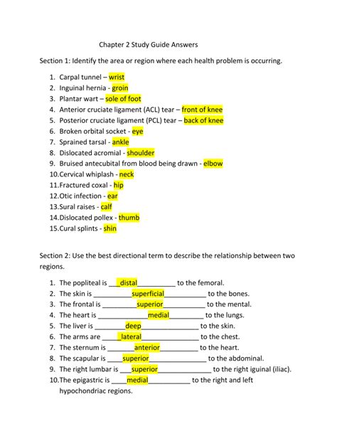 Anatomy And Physiology Chapter 8 Study Guide