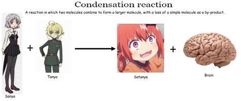 Please Give An Example Of A Condensation Reaction Ranimemes