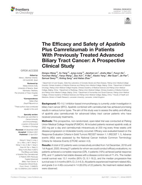 Pdf The Efficacy And Safety Of Apatinib Plus Camrelizumab In Patients
