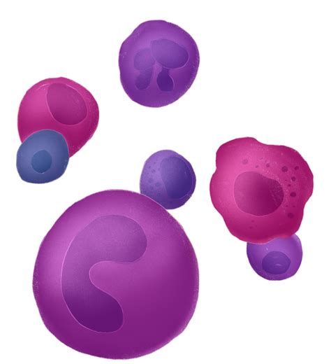 Members Miriam Kim Lab